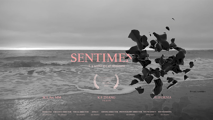 Keyi Zhang: Sentiment | Cornell AAP