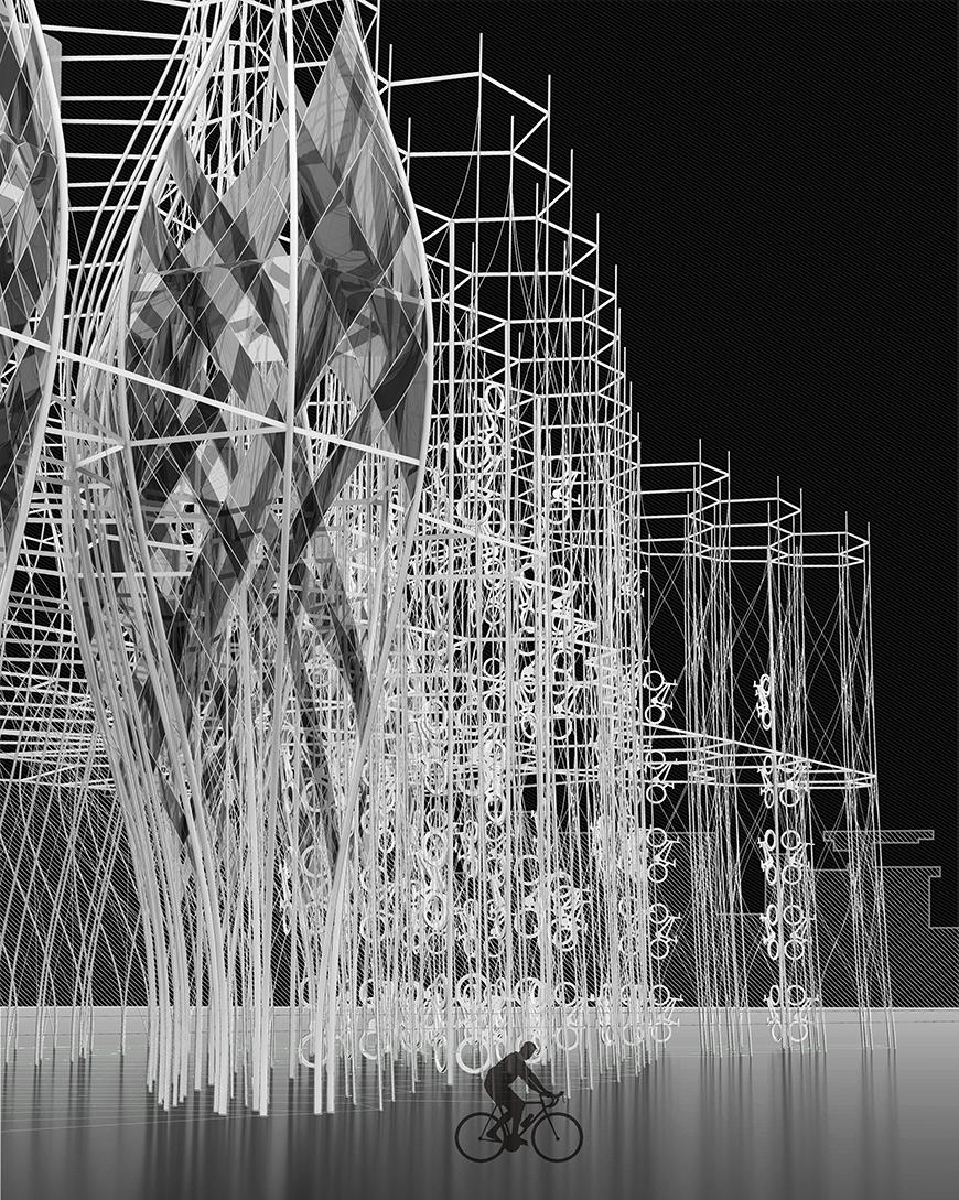 Force Field | Cornell AAP