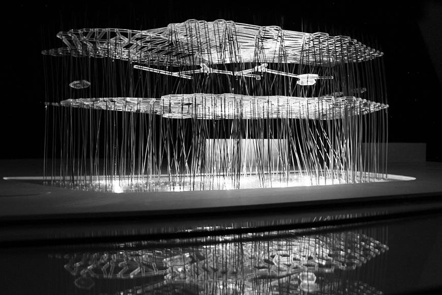 Force Field | Cornell AAP