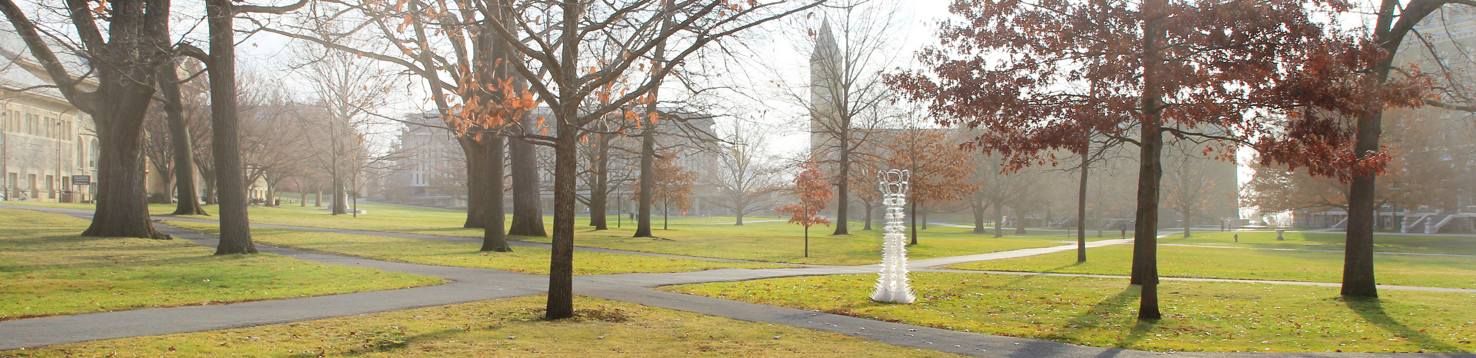 Loop Column | Cornell AAP