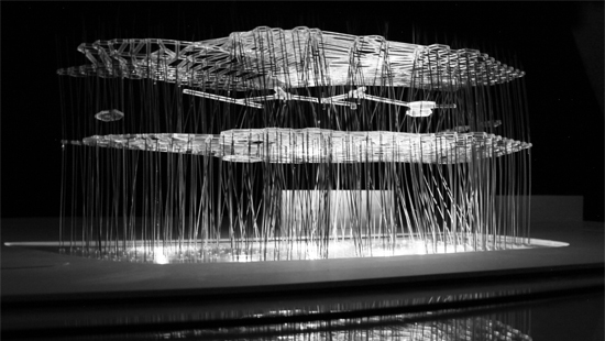 Force Field | Cornell AAP